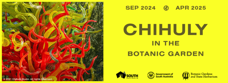 Watching Glass Grow: Chihuly in the Botanic Garden | Design Thinking ...